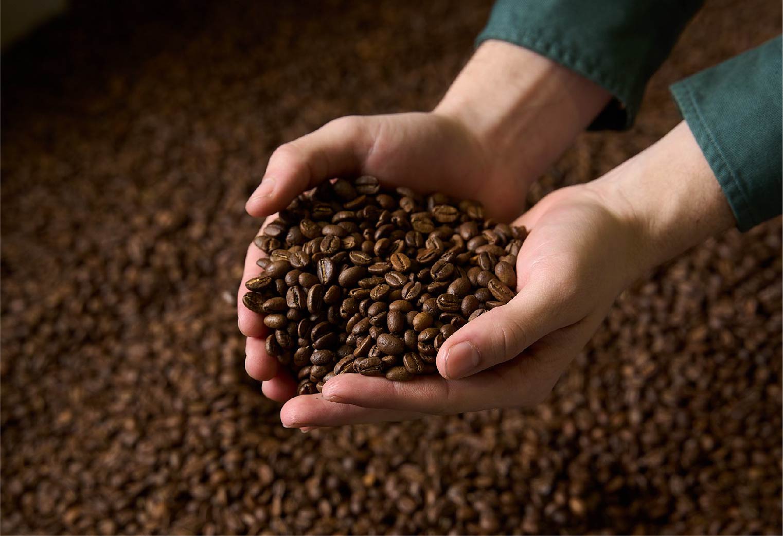 Melbourne’s Best Coffee Beans – Page 2 – Inglewood Coffee